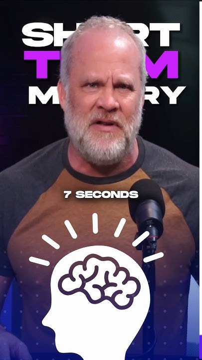 How Long Term Memory Works - YouTube