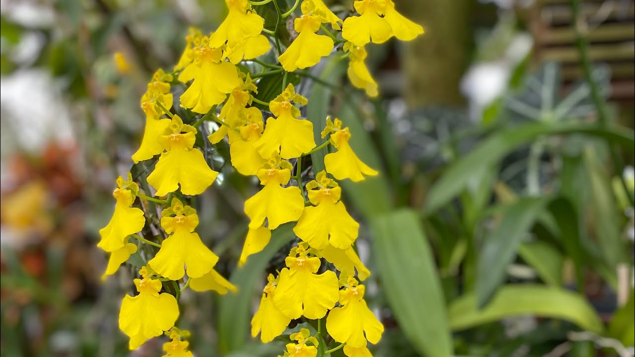 PERCEPTION SHIFT - YouTube