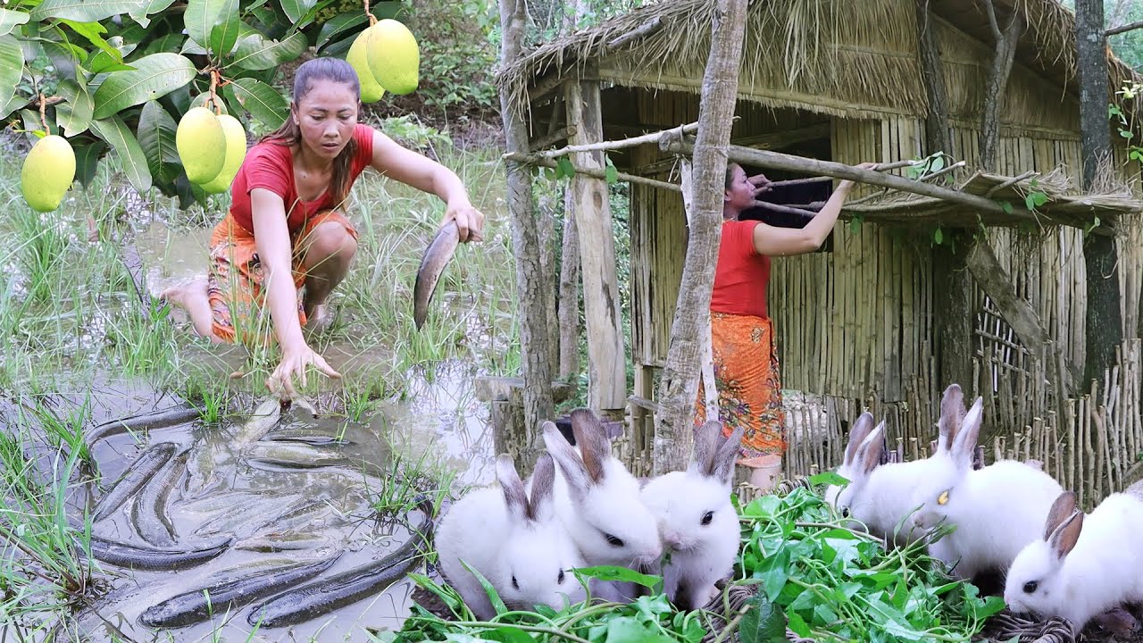 Build pit house, Survival catch and cook, Fish curry tasty and Crab spicy cooking, +6 survival ...