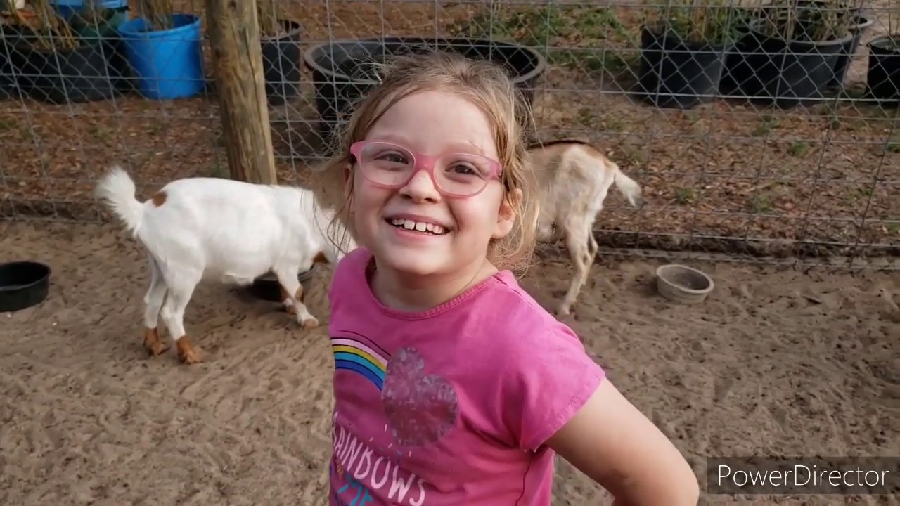 Please Read Description! - YouTube