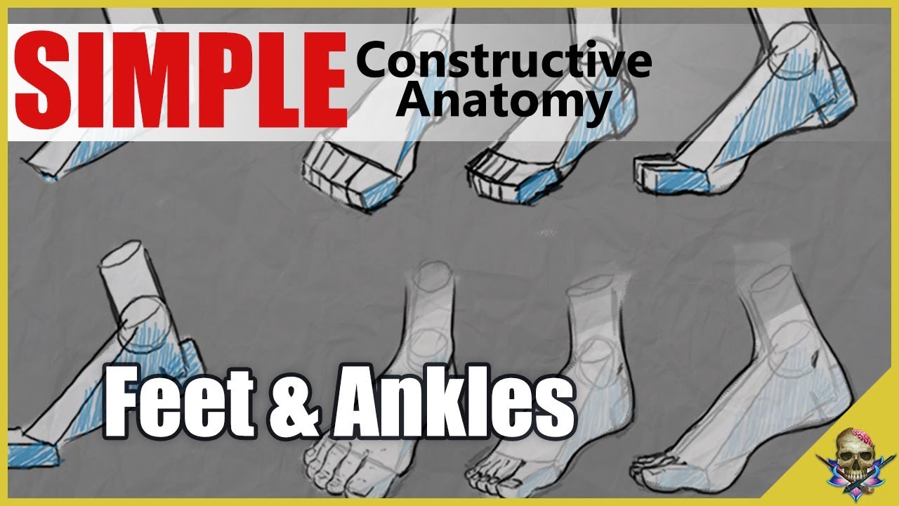 How to Draw FEET - Simplified Constructive Anatomy - Art Tutorial - YouTube