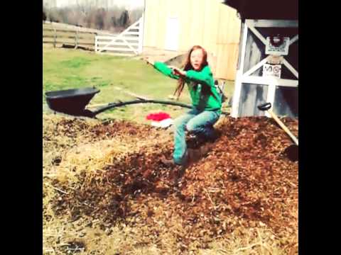 Jumping into a manure pile! - YouTube