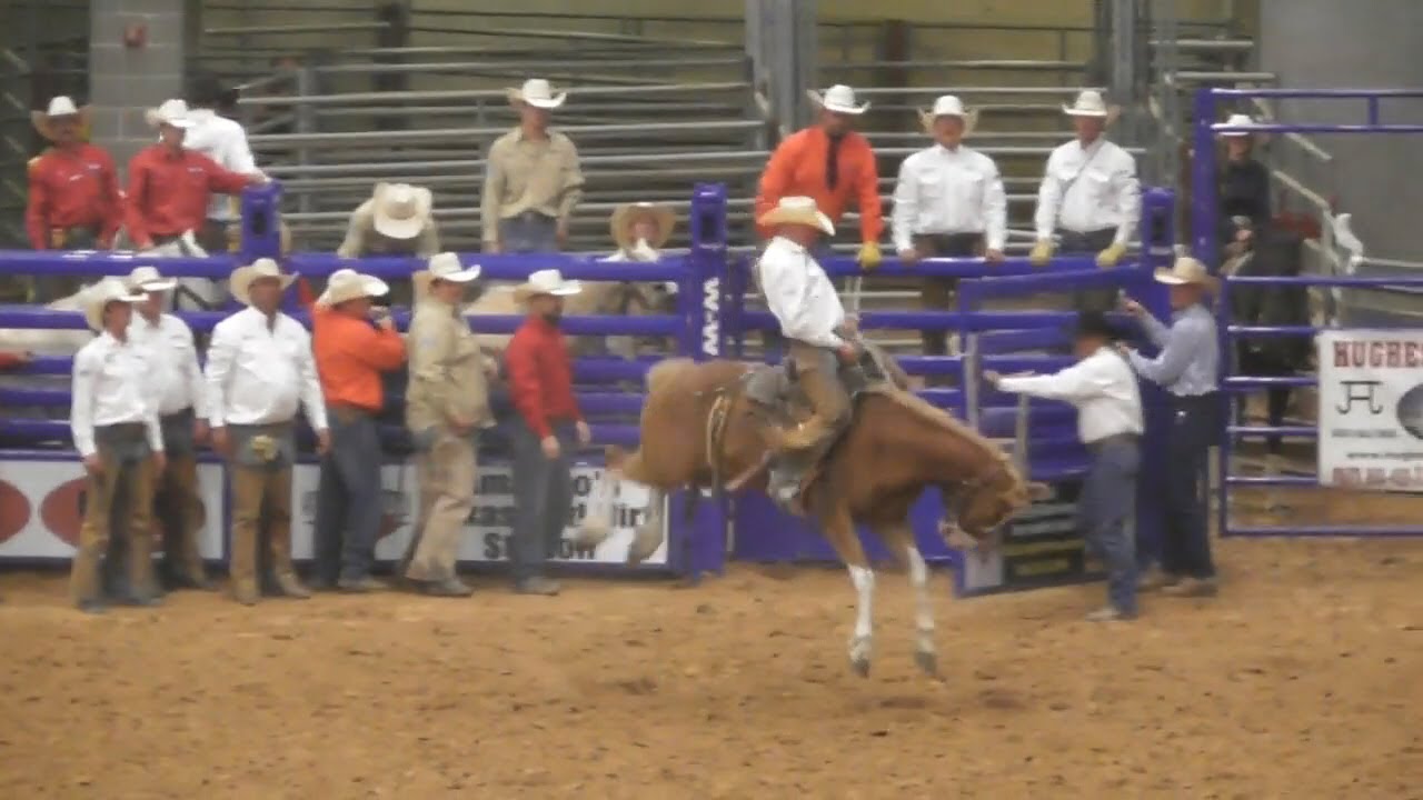 Ranch Broncs - 2018 Coors Cowboy Club Ranch Rodeo - Saturday - YouTube