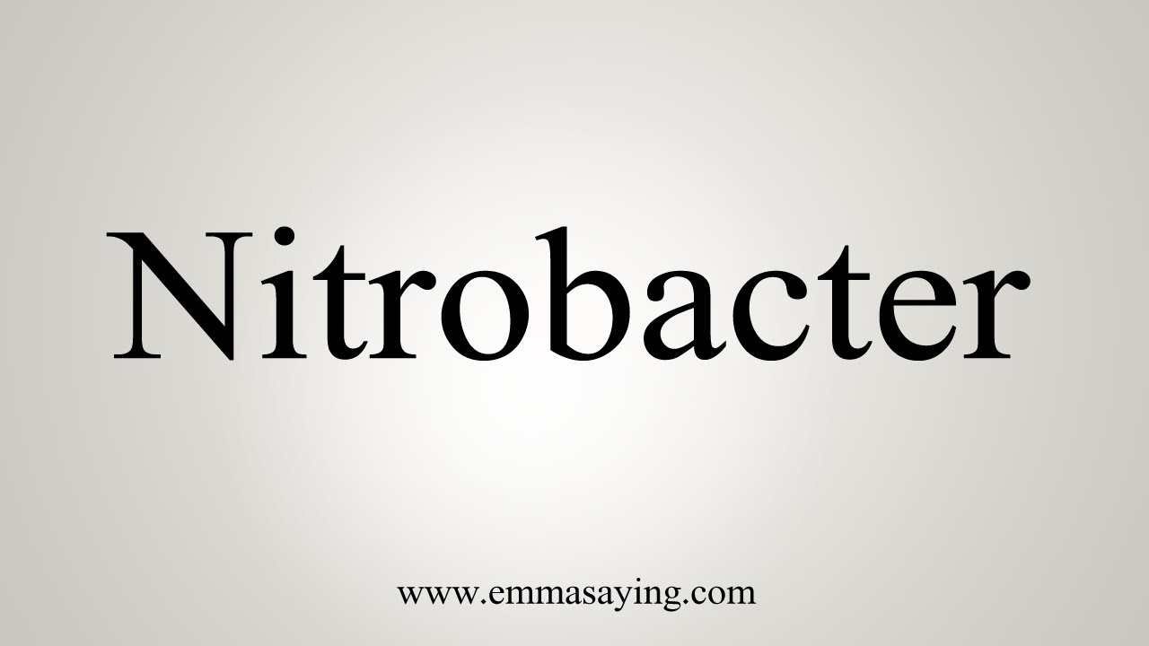 How To Say Nitrobacter - YouTube