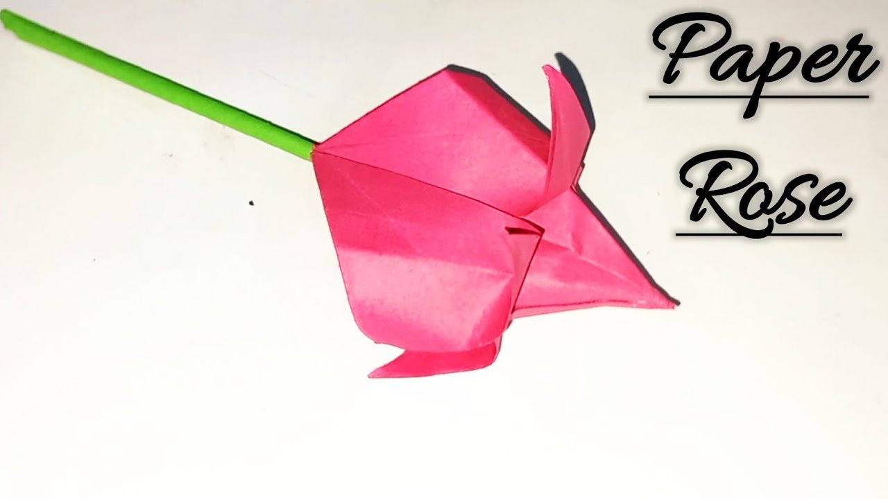 How To Make Rose paper Rose Art Designing Rose paper Art Art And Craft how-to-make-rose-paper-rose-art-designing-rose-paper-art-art-and-craft
