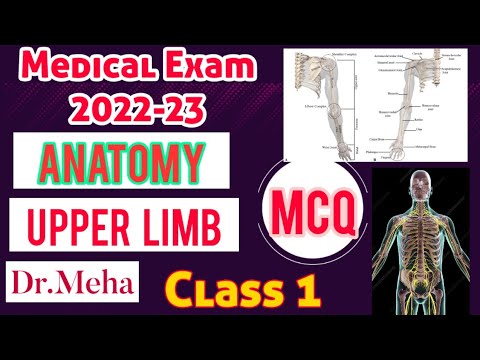Upper Limb MCQ/Anatomy MCQ/VIVA question/quiz/Medical Exam/MRB/ - YouTube
