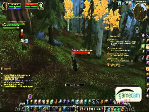 WoWFilms: Alliance Northrend Leveling Guide Part 8 - YouTube