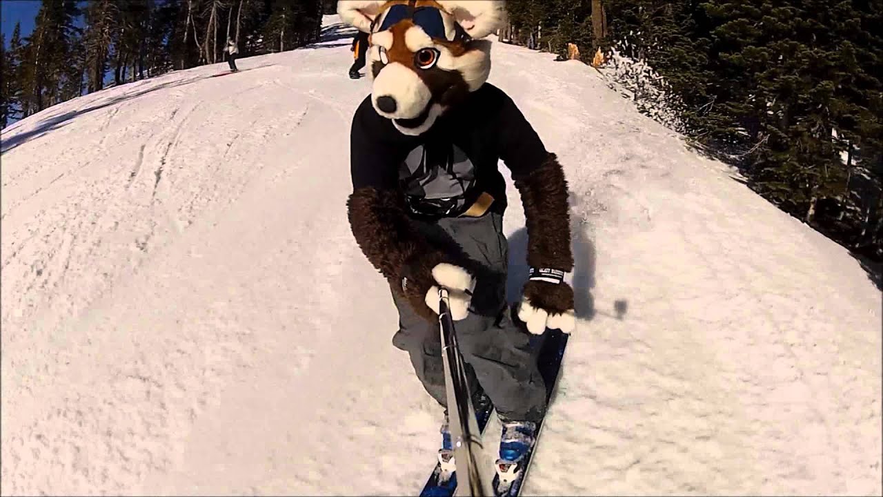 Fursuit Ski Video - YouTube