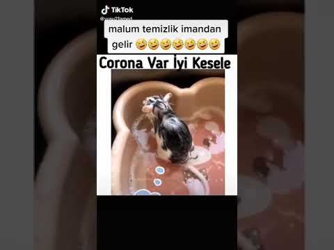 Gülməli videolar 2021 karonaya aid