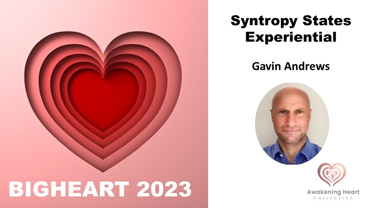 SYNTROPY STATES EXPERIENTIAL - Gavin Andrews - BIGHEART 2023 - YouTube