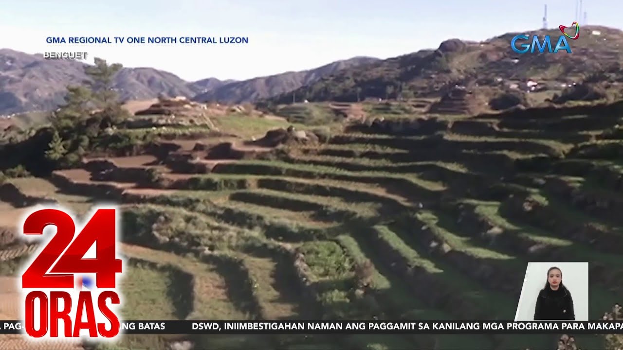 Ilang pananim sa Atok, Benguet, nabalot ng frost o "andap" | 24 Oras ...