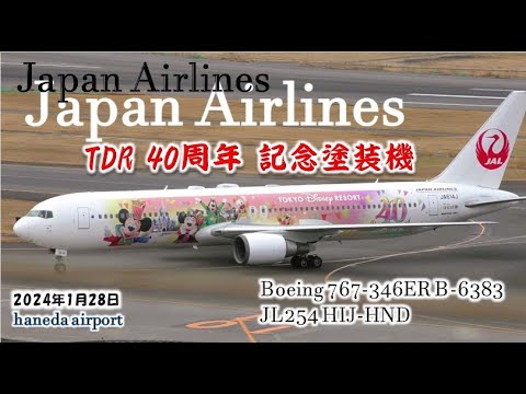 [HD] 東京TDR 40周年記念塗装機 JAL B767 JA614J landing @Haneda Airport rwy34L(HND/羽田空港) - YouTube