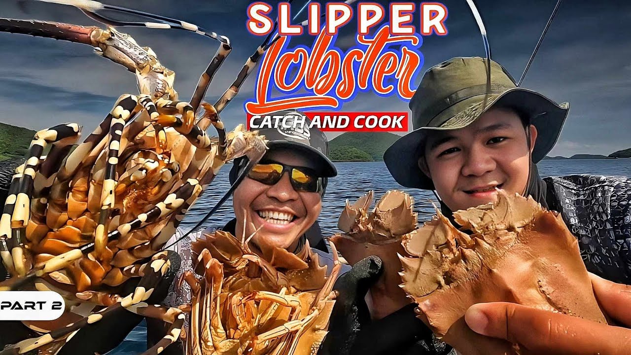 P2-Slipper Lobster Catch and Cook | EP1044 - YouTube