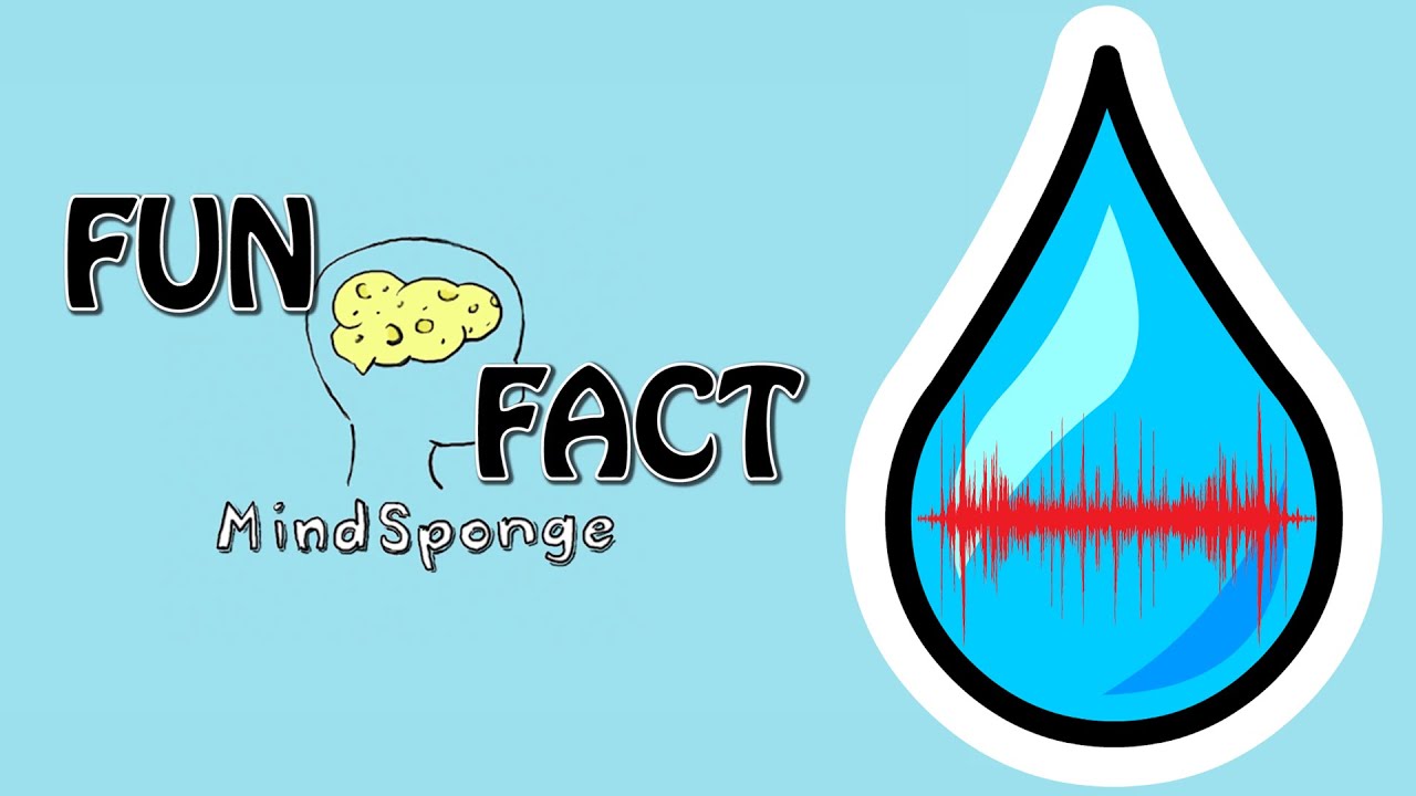 MindSponge Fun Fact - Sound in Water - YouTube
