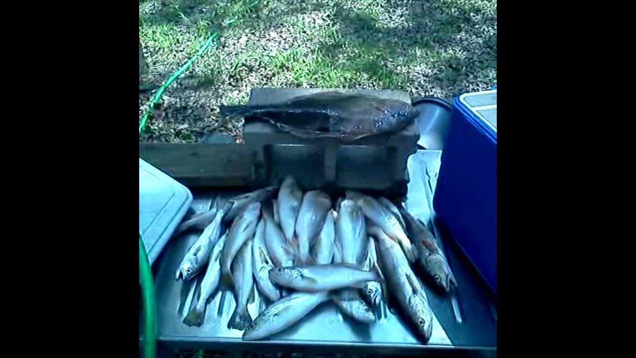 Jason's big flounder - YouTube