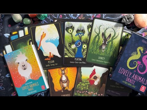 Lovely Animals Oracle | Can bugs actually be cute?🤔…Nah😆| 📦 Unboxing ...