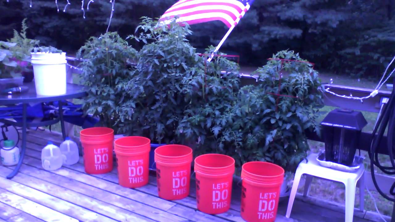 October 5, 2016 - YouTube