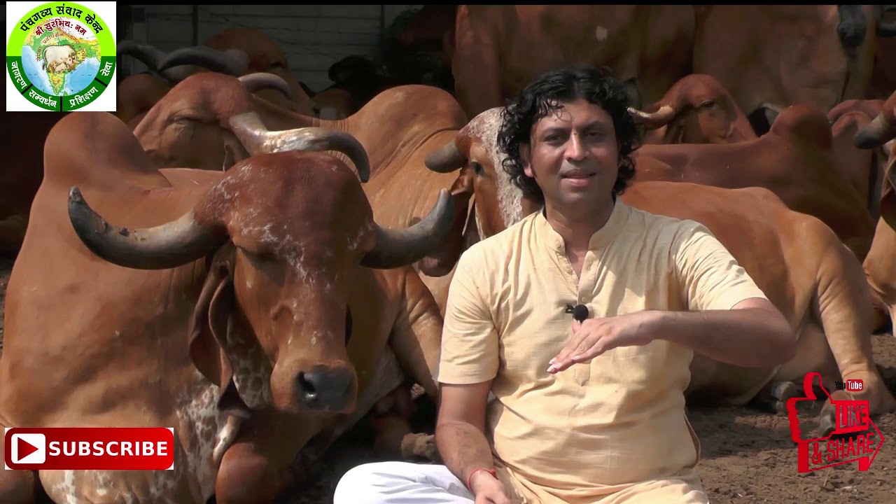 gopal bhai sutariya/गो-कृपा अमृतम बैक्टीरिया - गो-कृषि के लिए मित्र ...