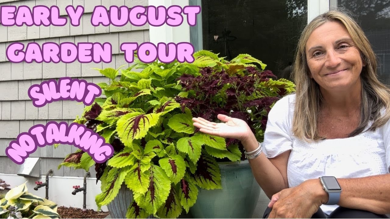Early August Garden Tour 🤫 Silent Walkabout🤫 - YouTube