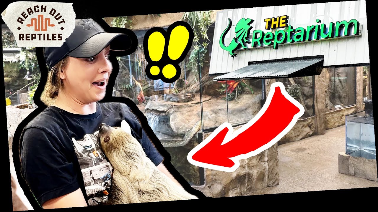 Brian Barczyk's Reptarium and Legasea ALL TO MYSELF! - YouTube