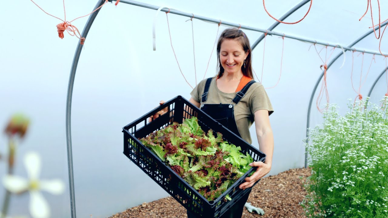 Mushroom Logs, Asparagus & BIG change in the Polytunnel - Creating ...