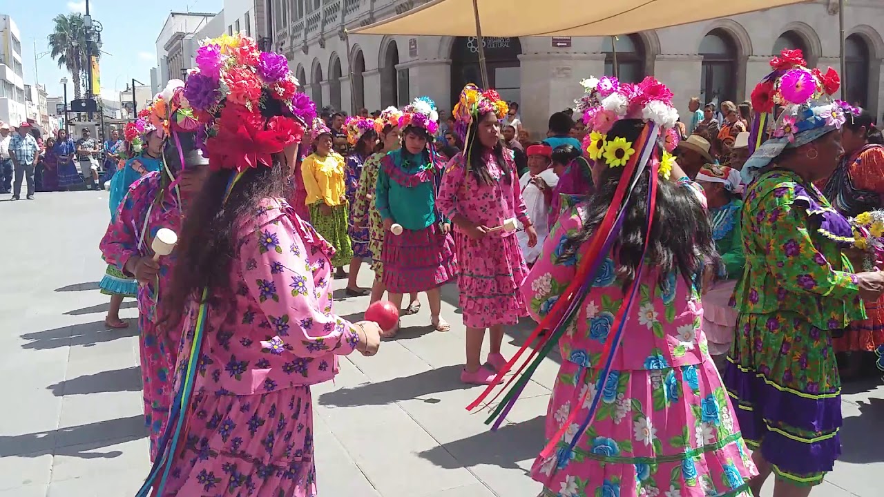 Danzan la comunidad Ódami (Tepehuan) – Parte 4 (20190901) - YouTube