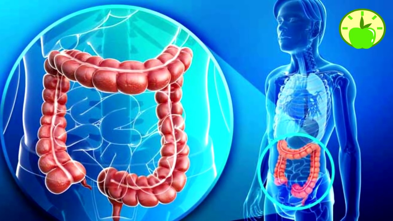 To Test, Today I Used This Remedy To CLEAN THE COLON Of Toxic Waste and ...