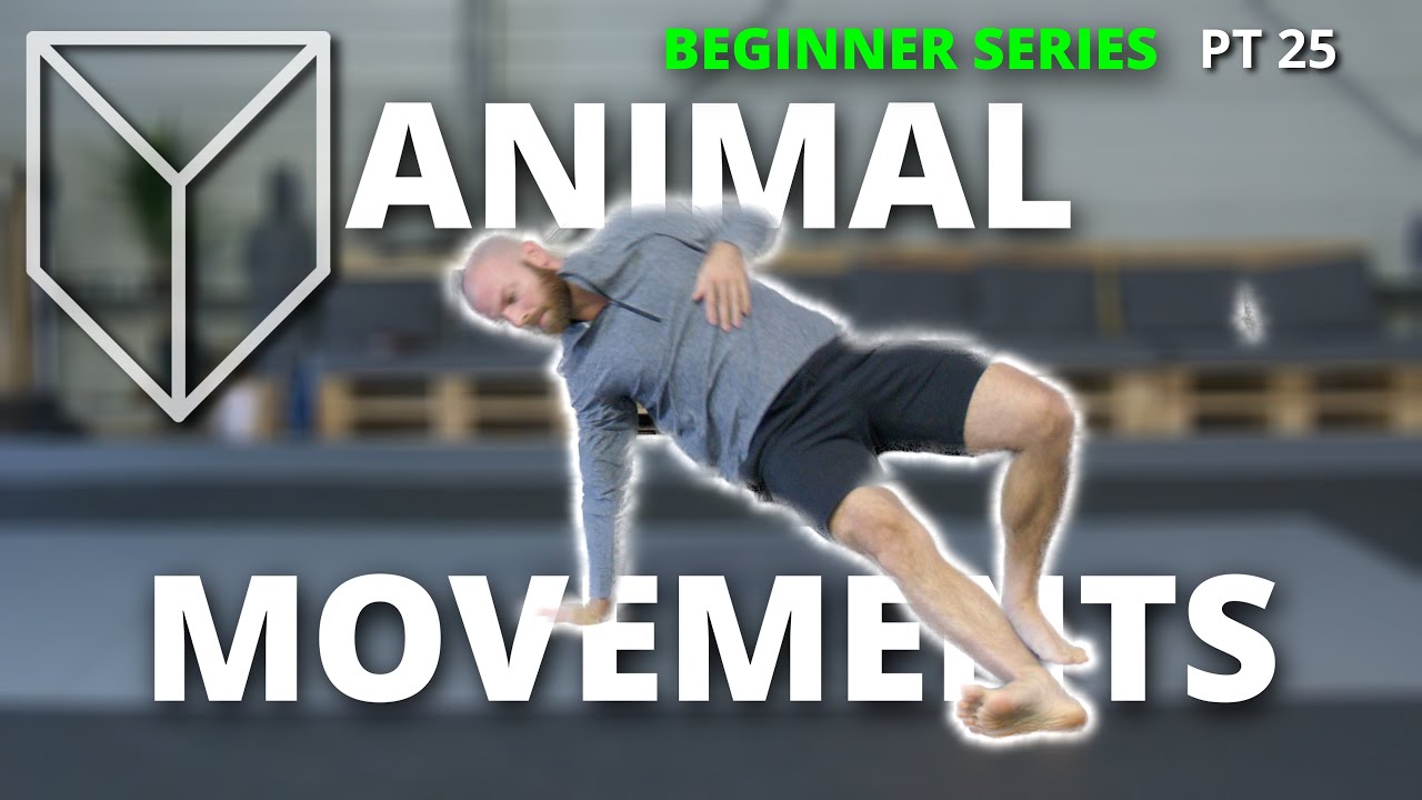 10 "Primal" Movements to Build Your Core - Bodyweight Workout - YouTube