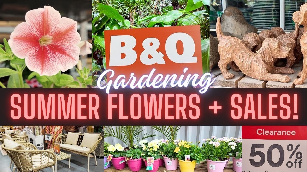 B&Q New Garden Summer Flowers 🌼 Plant Sales & Bargains June 2025 | Shop ...