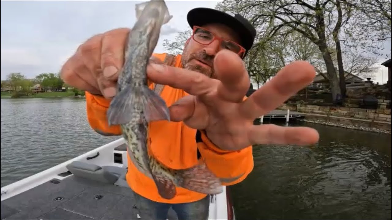 Work hard fish harder - YouTube