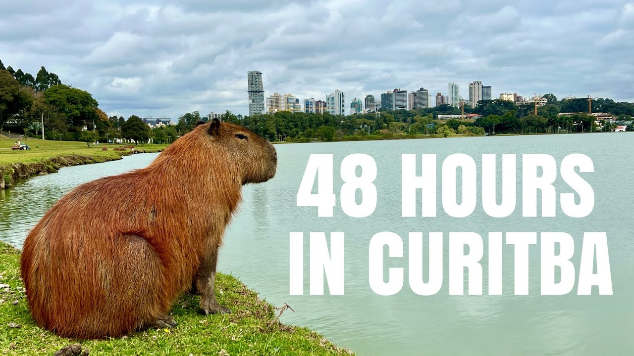 CURITIBA, BRAZIL. Capybaras, BBQ, and Mountains. 48 Hours In My Old ...