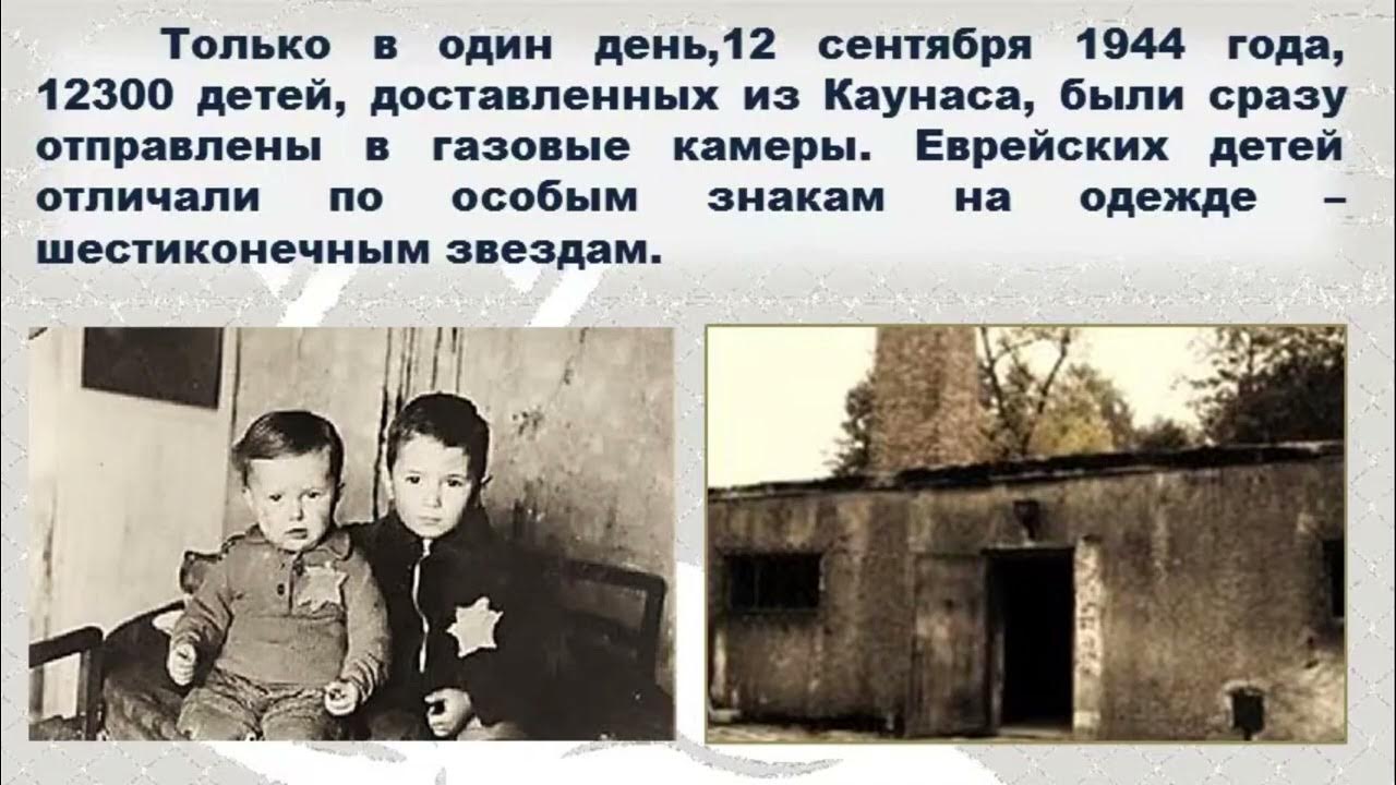 "Маленькие жизни Холокоста" Видеочас 12+ Библиотека №18 - YouTube