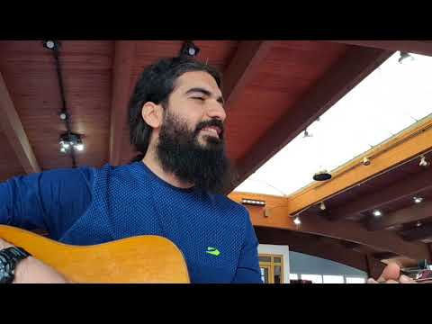 Mehmet Nuri Çiçek - Gide Gide Bir Söğüde Dayandım