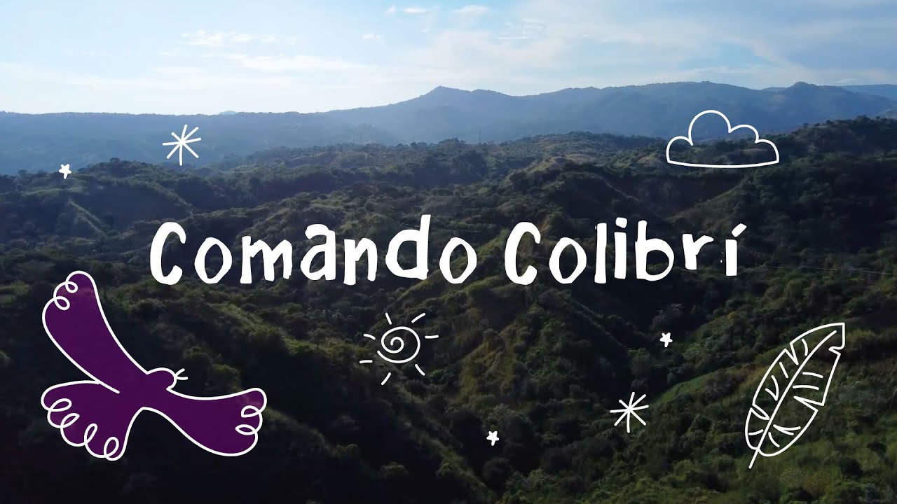 Insumisas. Cuerpo y otros territorios | Comando Colibrí - YouTube