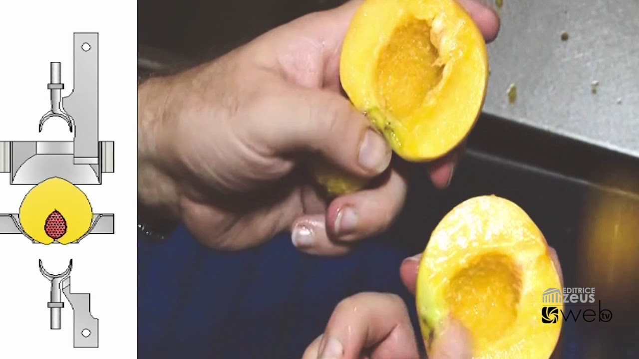 Anuga FoodTec 2018: Omip presents the peach stoning machine - YouTube