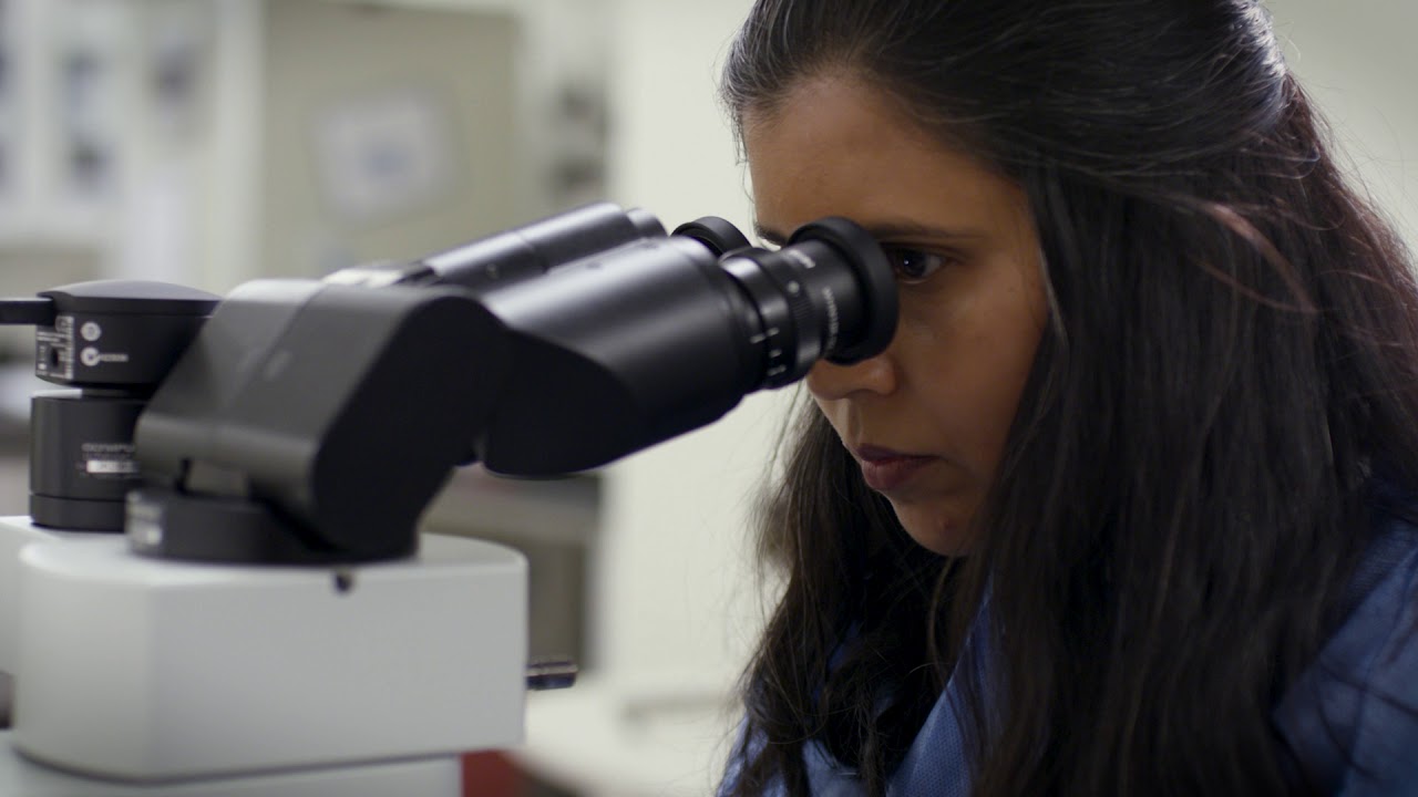 Pelotonia | Your Impact | Dr. Vasu - YouTube