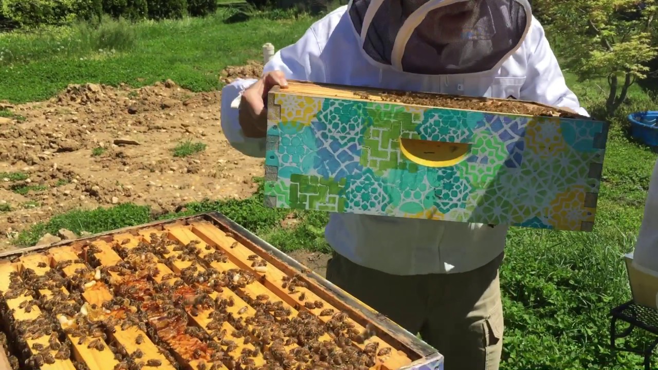 Hefting a super - YouTube