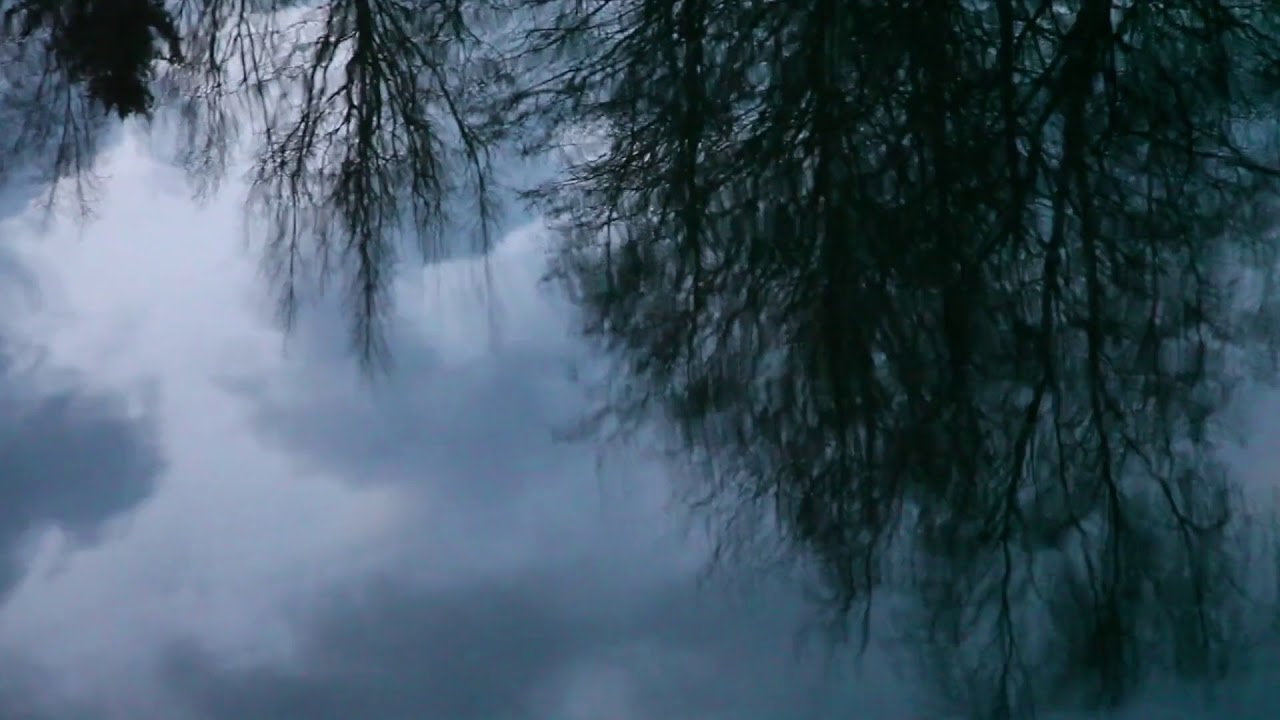 Reflection Of Trees - Free Stock Creative Commons Video - YouTube