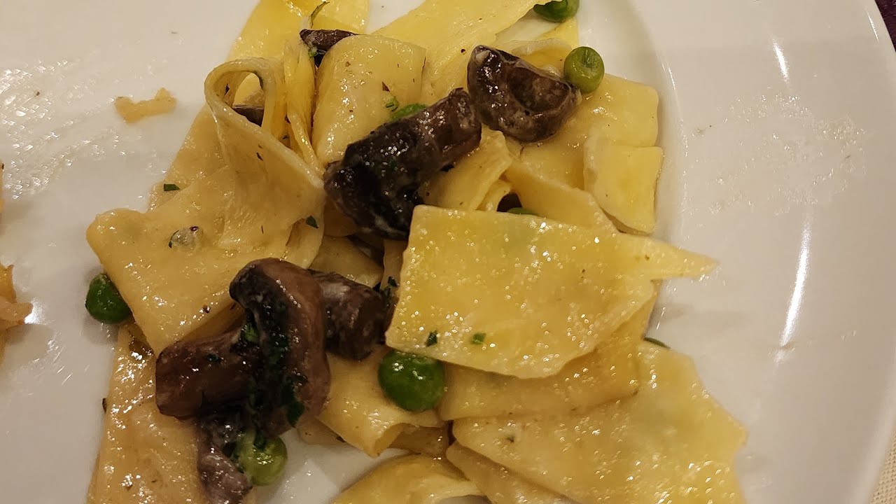 Plum Lounge Hard Rock/Mirage Las Vegas November 2023 - YouTube