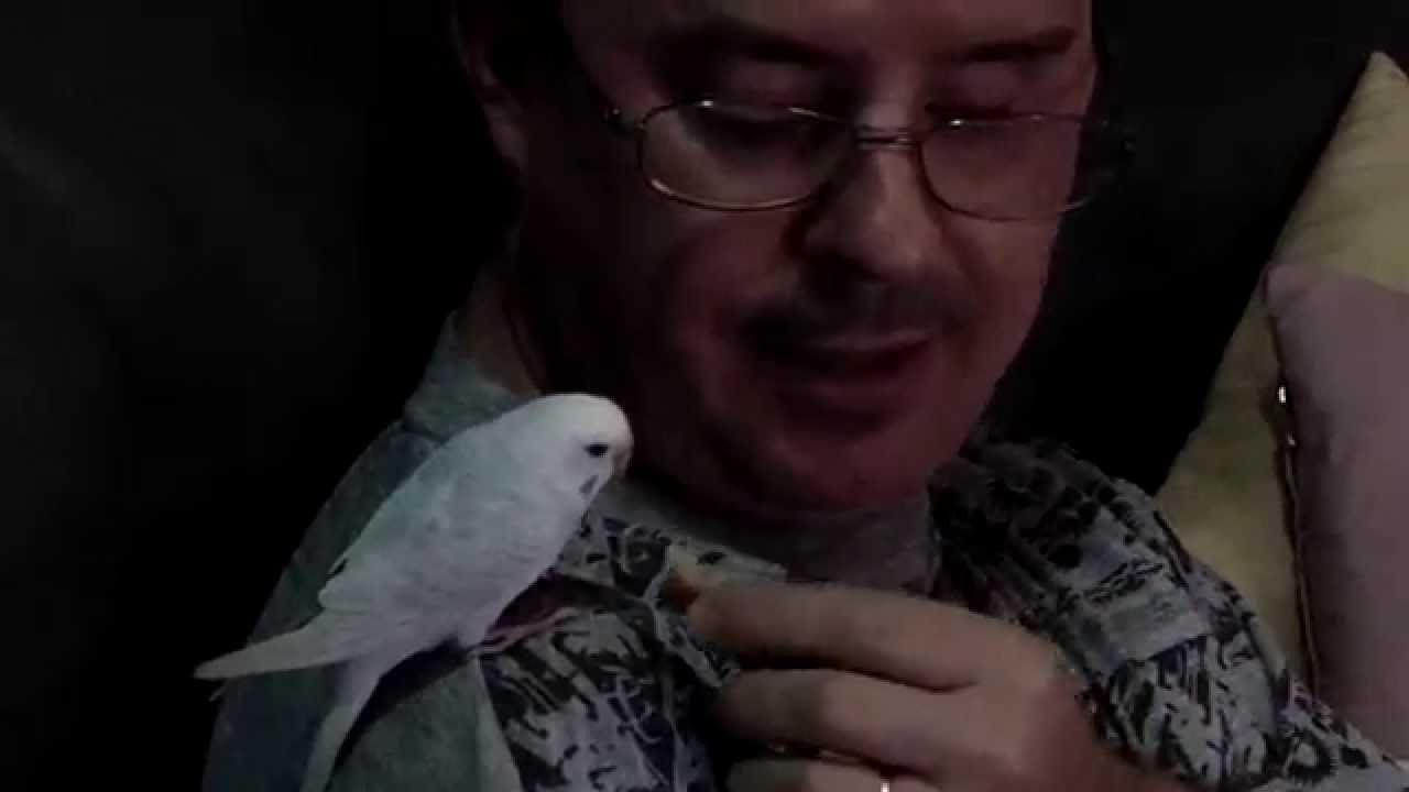 Esse é o Raimundo - YouTube