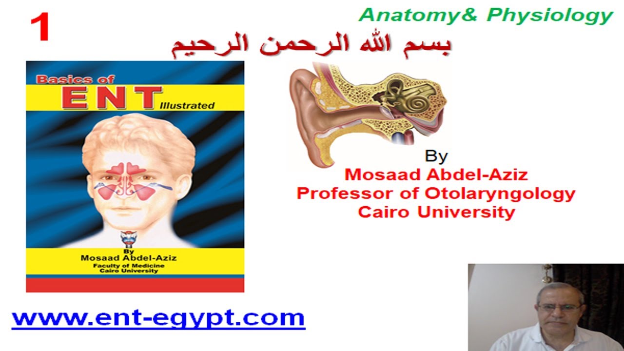 Mosaad Abdel-Aziz: 1. Anatomy & Physiology of the Ear - YouTube