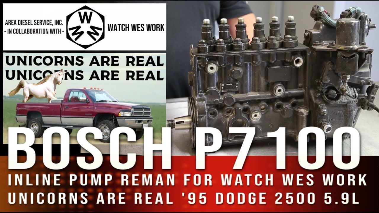 IN UNDER 1 HR! Bosch P7100 Rebuild 4 MINT 5.9L 1995 Dodge Ram x ...