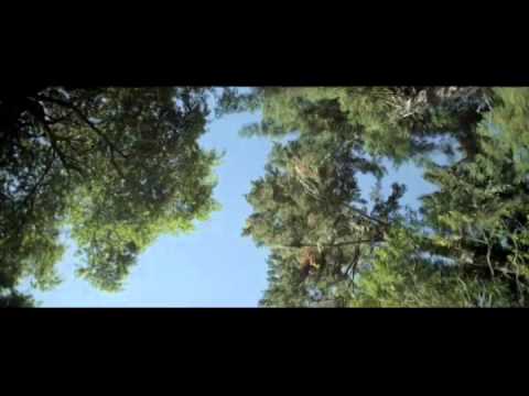 Warwick Associates Financial Services - YouTube