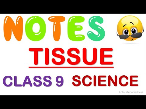Best NOTES on Tissue Class 9 NOTES + FULL EXPLANATION Science | Chapter ...
