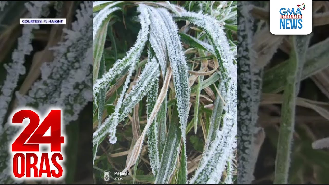 Ilang pananim sa Benguet, nabalot ng andap; temperatura sa Baguio ...
