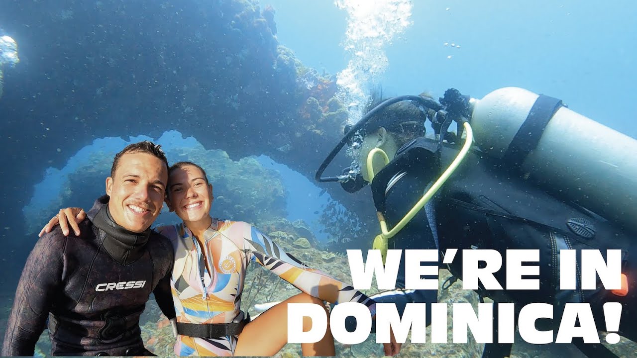 SCUBA DIVING IN DOMINICA! - YouTube