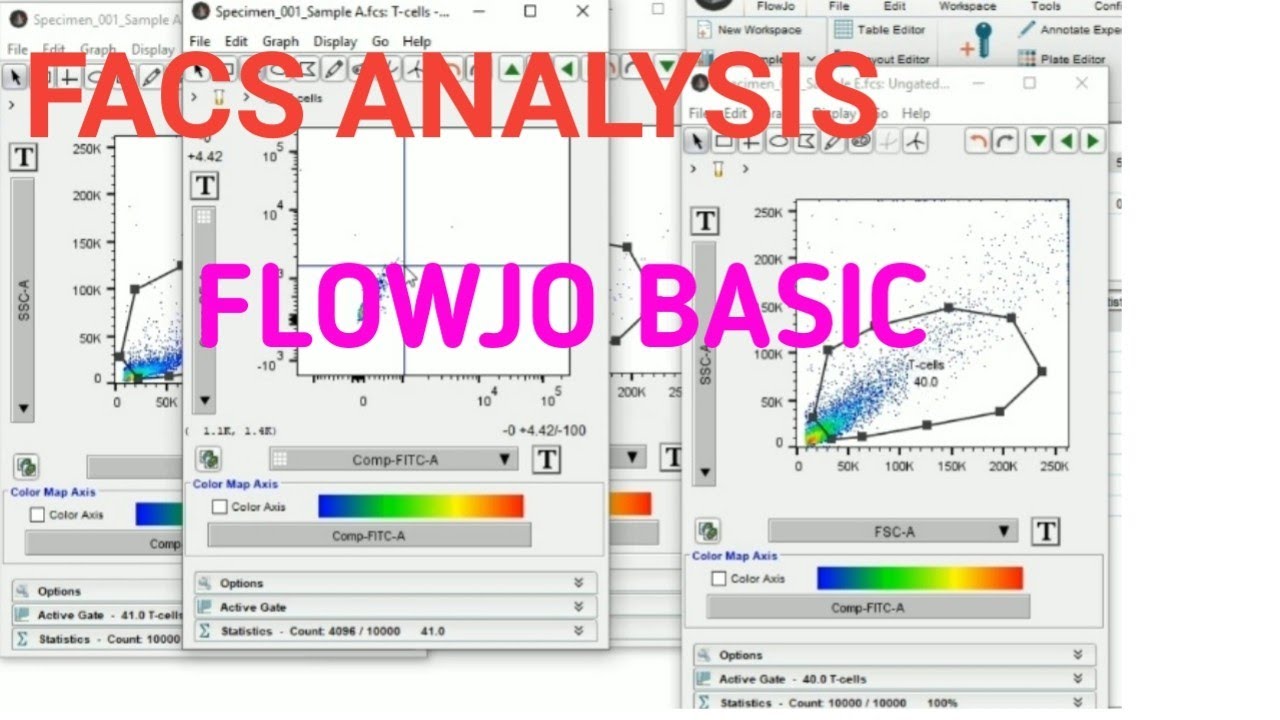 FLOWJO BASIC II FACS DATA ANALYSIS II Xgene and proteinX - YouTube