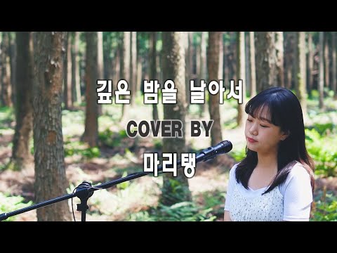 이문세 - 깊은 밤을 날아서 (Cover by 마리탱 (Maritaeng))