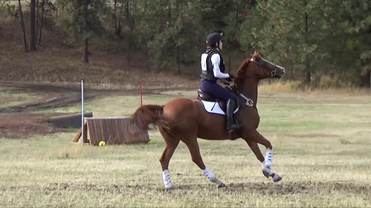 Grace Redd; SSHF Fall HT; October 2016 - YouTube
