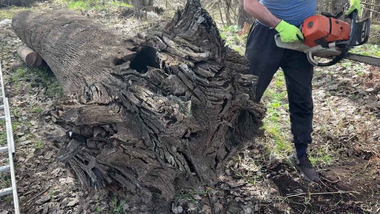 An ancient relic almost destroyed during sawing! - YouTube